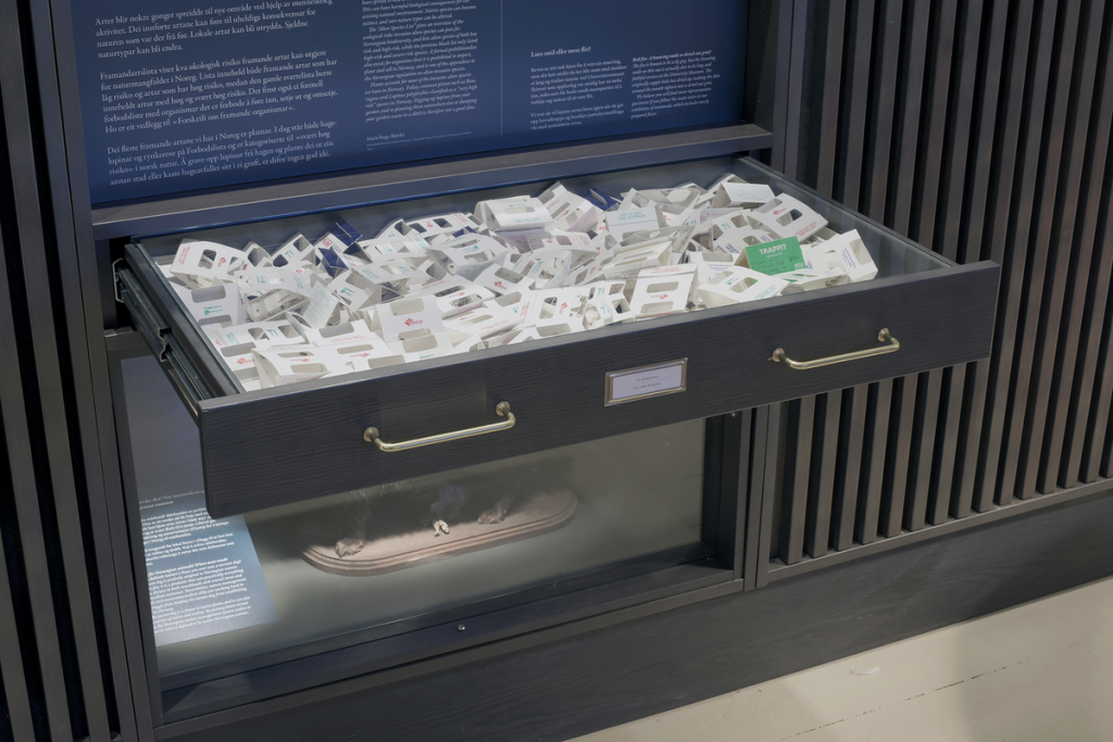 Joanna Lock - Creativity - Practice-Based Research